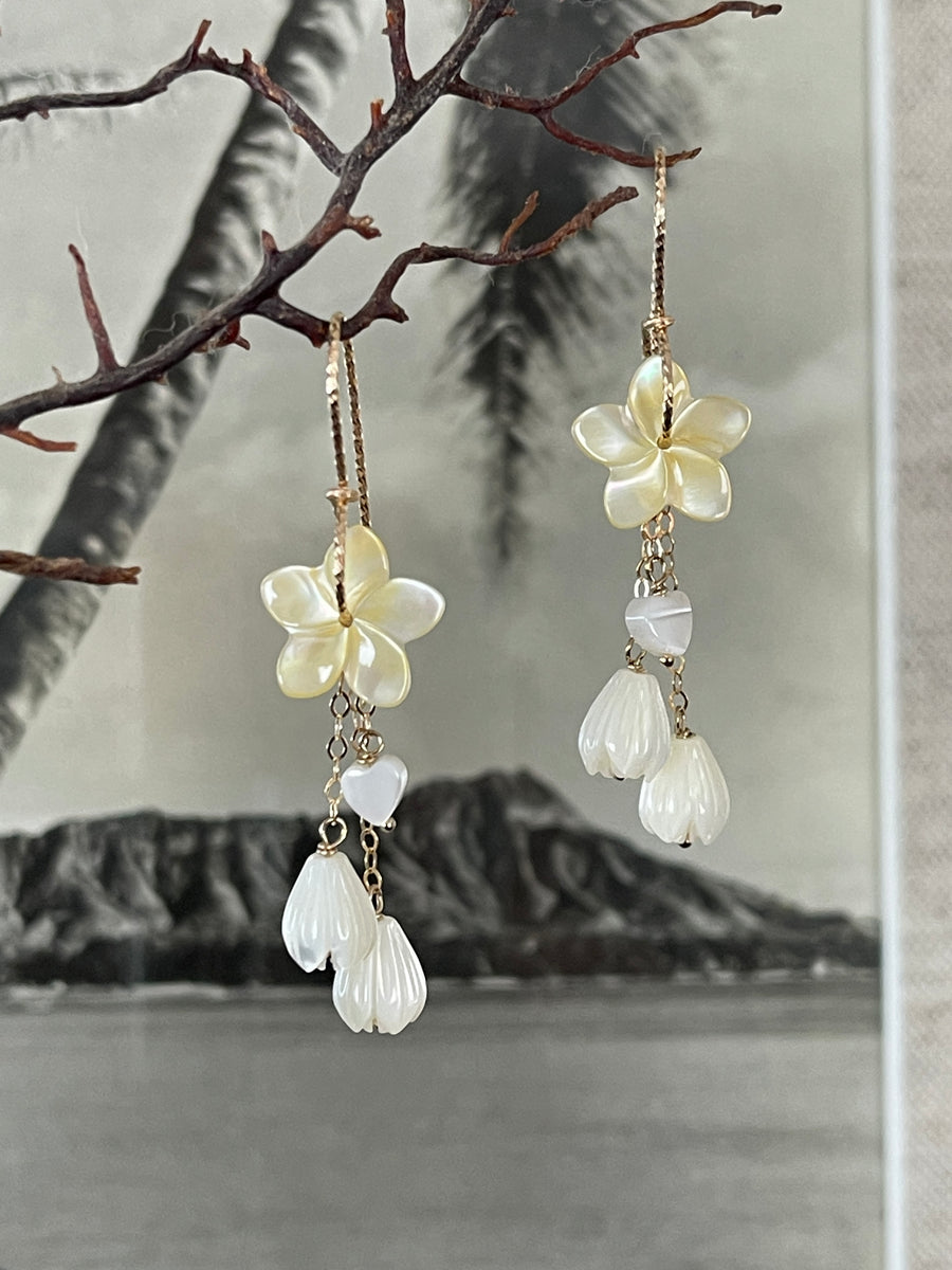 FREE DOMESTIC SHIPPING JULY 1-4th! – Le'ahi Gifts Hawaii